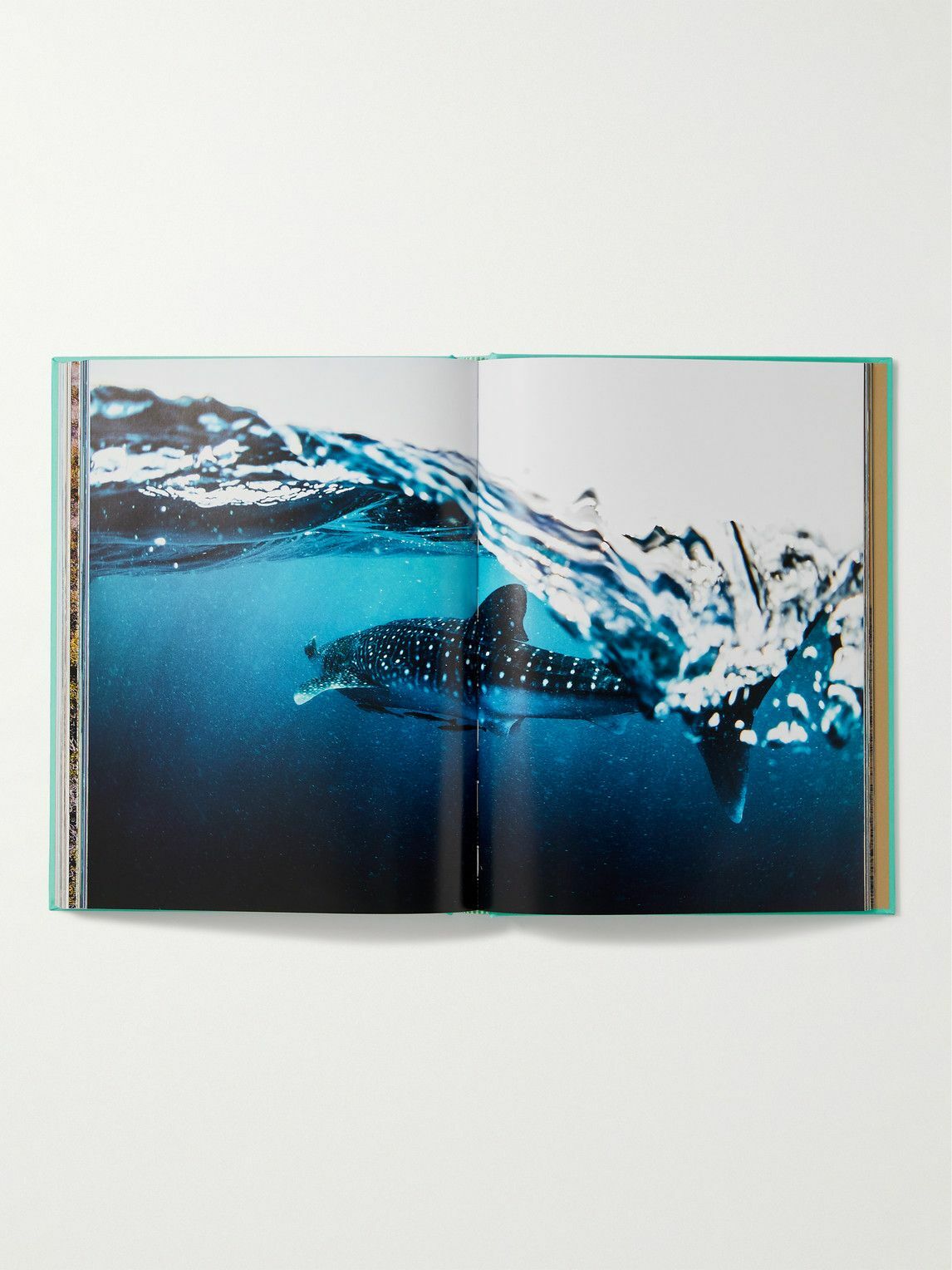 Assouline - Saudi Arabia: Red Sea, The Saudi Coast Hardcover Book Assouline