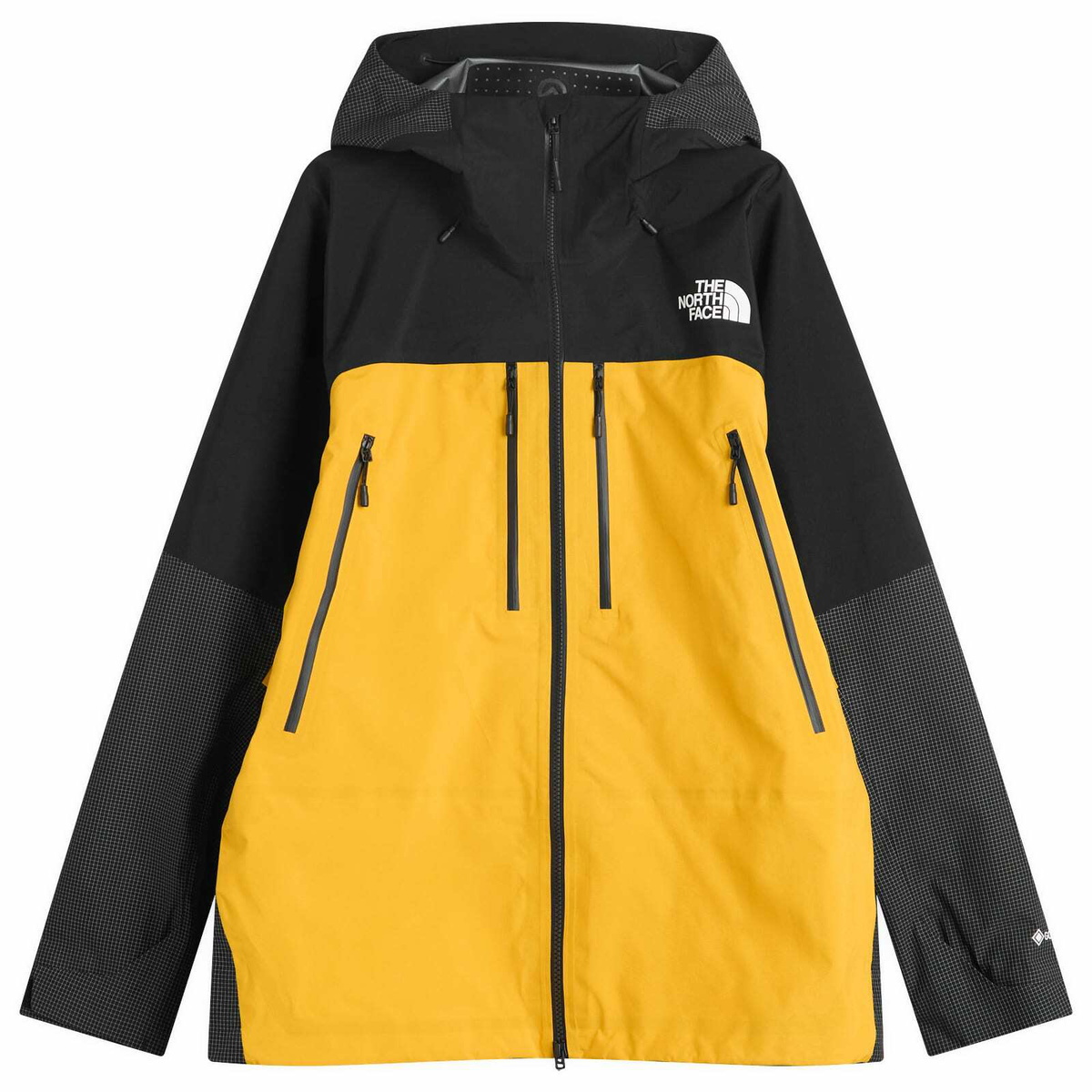 The North Face Men's Summit Series Mountain Gore-Tex Pro Jacket in ...