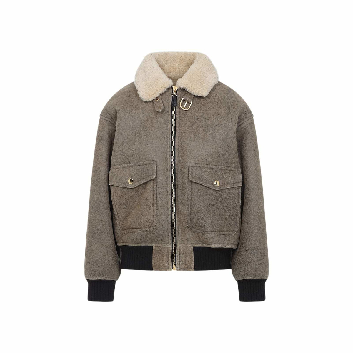 Celine Aviateur Brode Blouson Celine