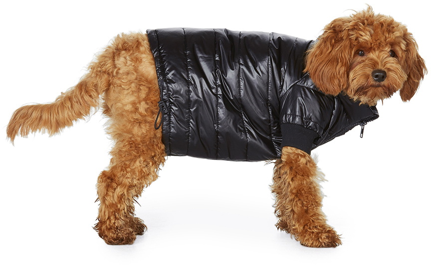 VIP SSENSE Exclusive Puffer Jacket