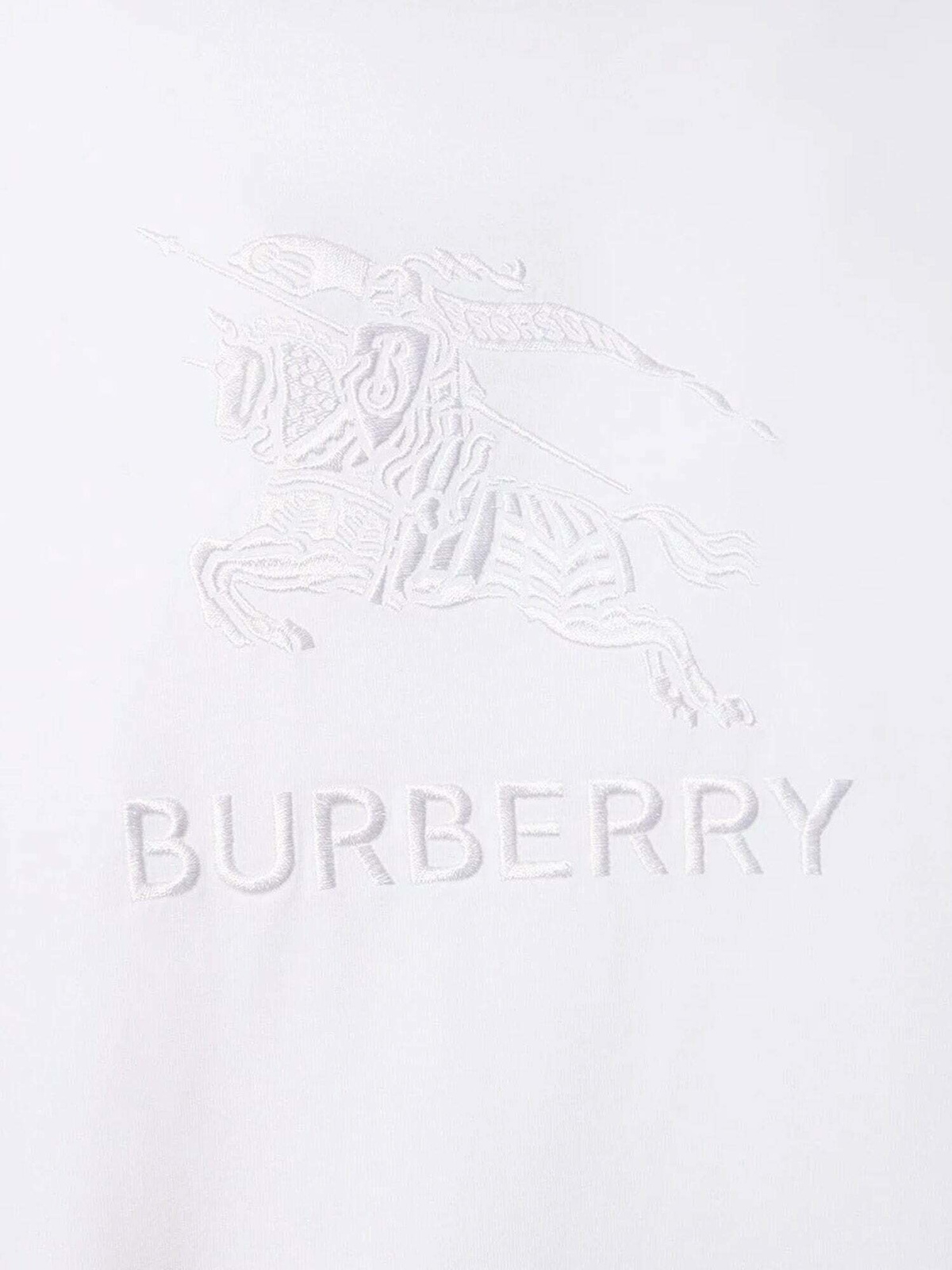Burberry Logo Background