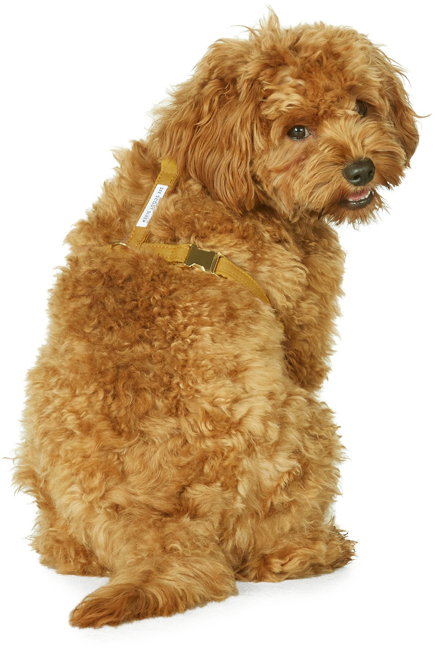 See Scout Sleep Brown Small 'The Scout' Harness See Scout Sleep