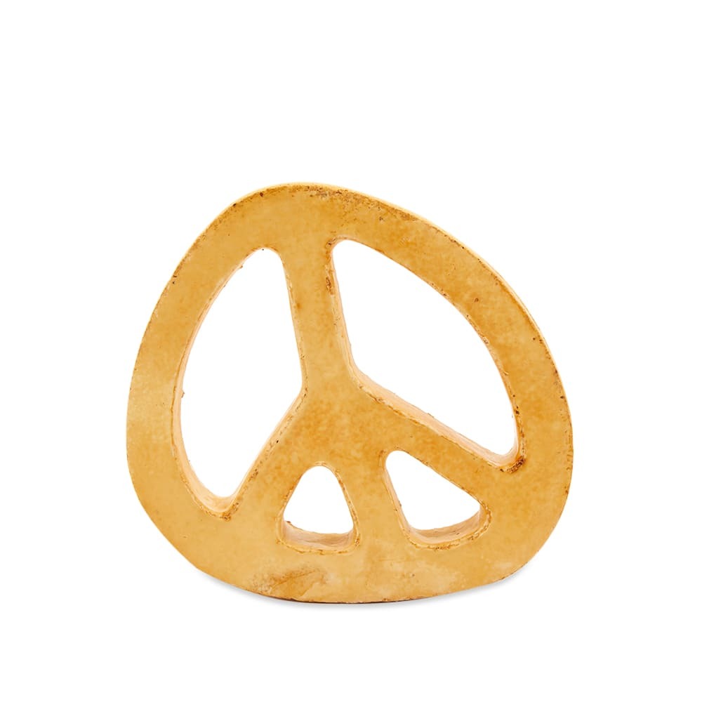 Space Available Mycelium Peace Desk Object in Natural Space Available