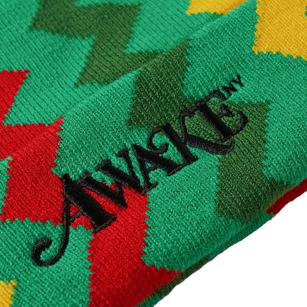 Awake NY Women's Zig Zag Beanie in Green Awake NY