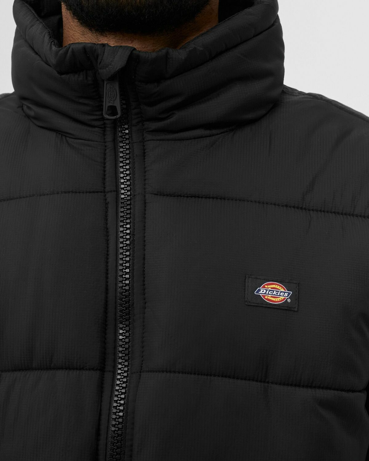 Dickies Waldenburg Black Down & Puffer Jackets Dickies Construct