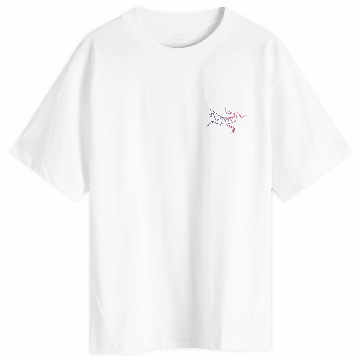 Arc'teryx Men's Kragg Logo T-Shirt in White Light/Multi Arc'teryx