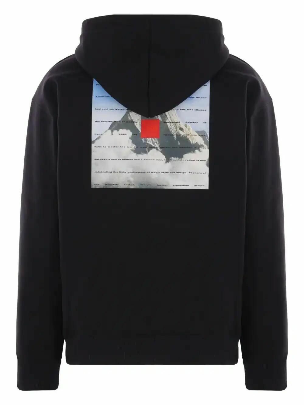 The North Face 40th Anniversary Mountain Hoodie The North Face