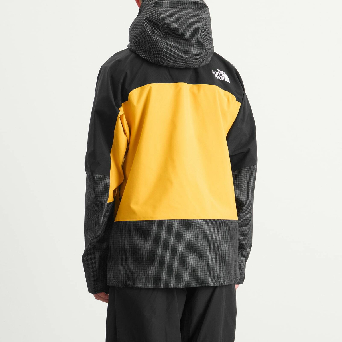 The North Face Men's Summit Series Mountain Gore-Tex Pro Jacket in ...