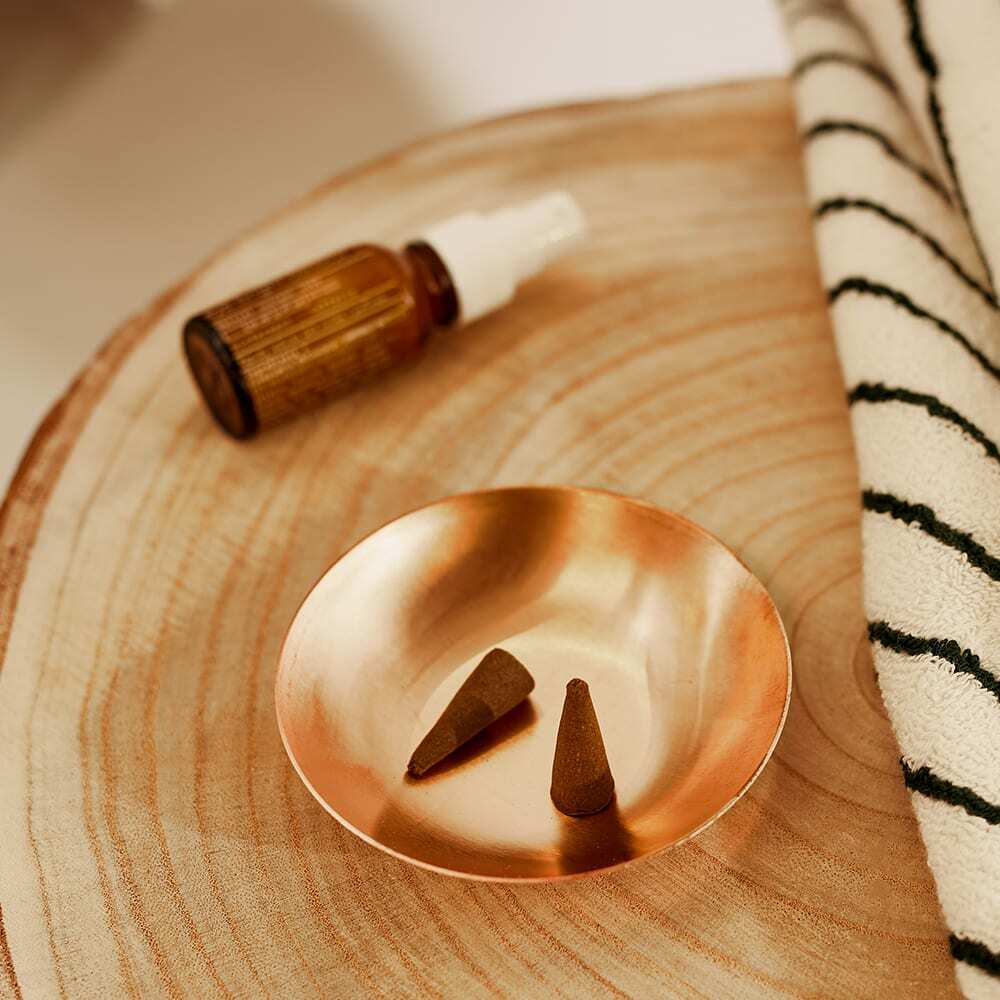 Haeckels Wild Fennel Incense Cones in 17 Cones Haeckels