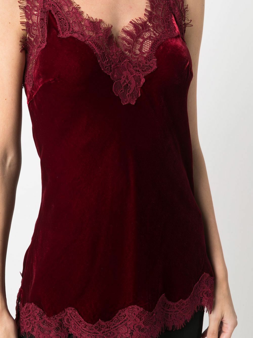 GOLDHAWK - Velvet Top Goldhawk