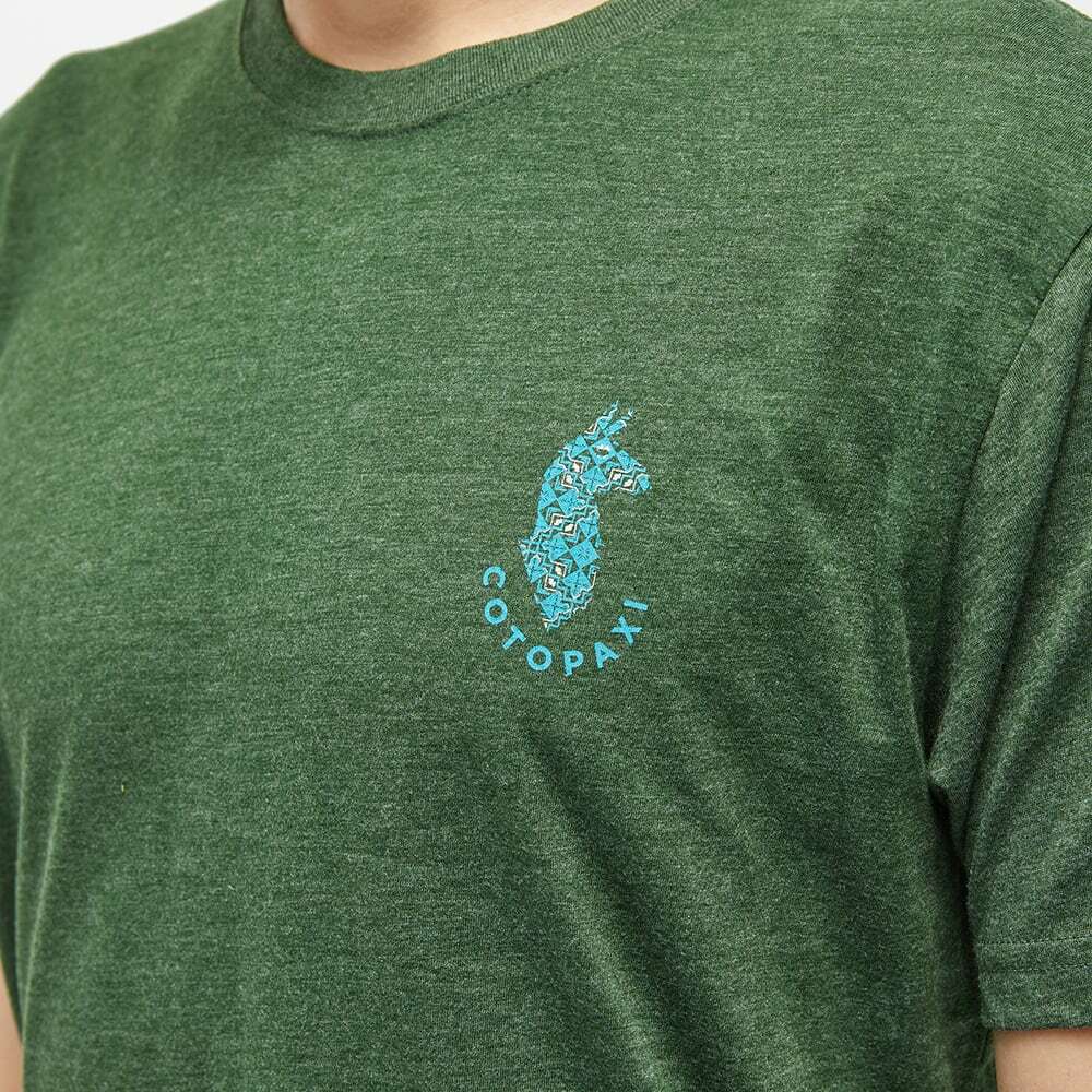 Cotopaxi Men's Llama Lover T-Shirt in Forest Cotopaxi