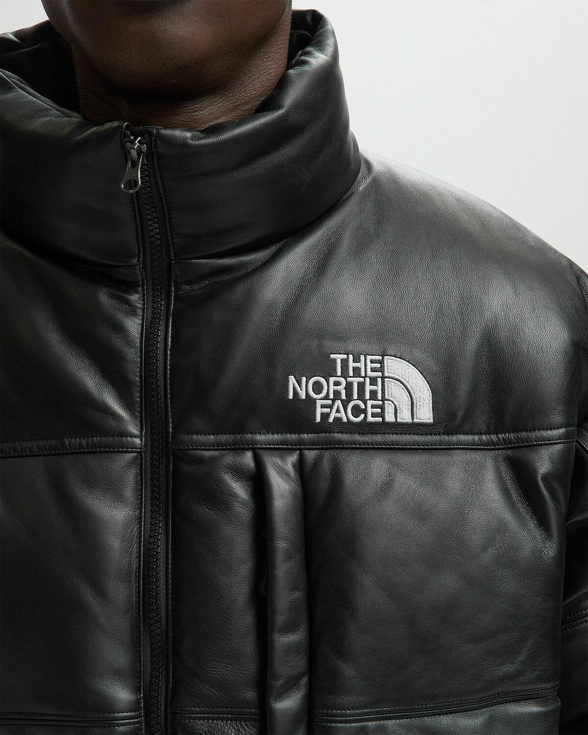 The North Face Leather Pack Summit Jacket Black Mens Down & Puffer ...