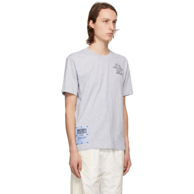 MCQ Grey Relaxed Logo Arcadia Ego T-Shirt McQ Alexander McQueen