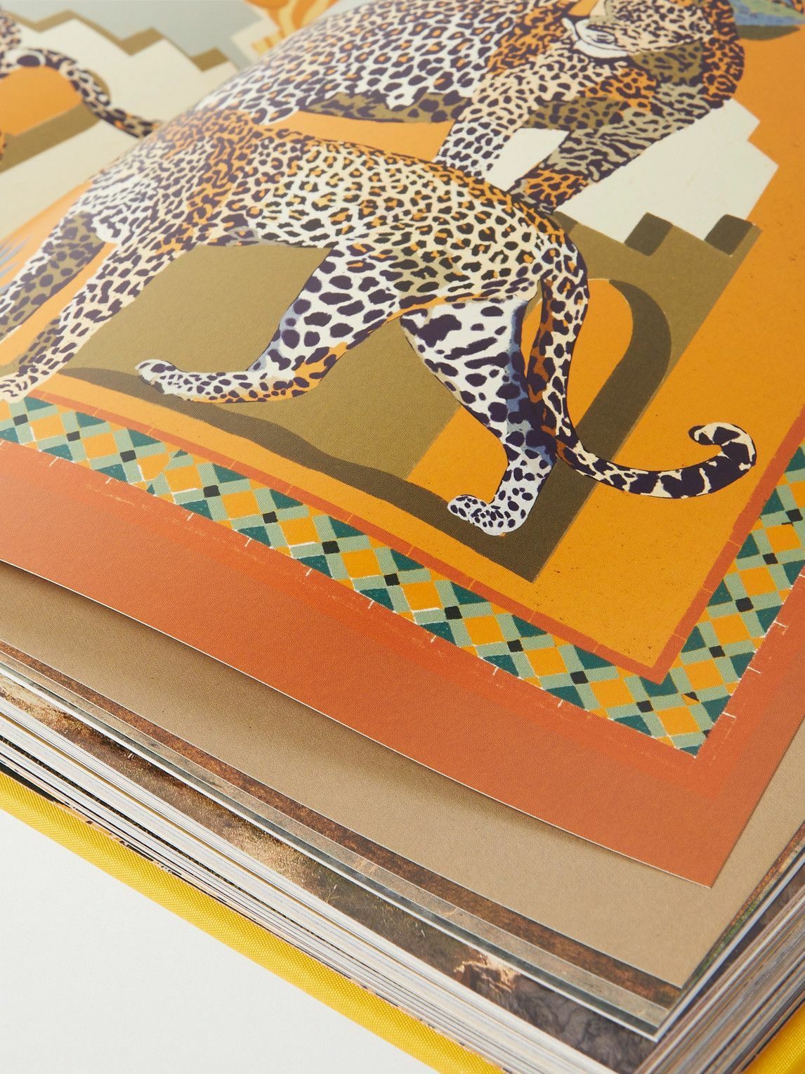 Assouline - Arabian Leopard Hardcover Book Assouline