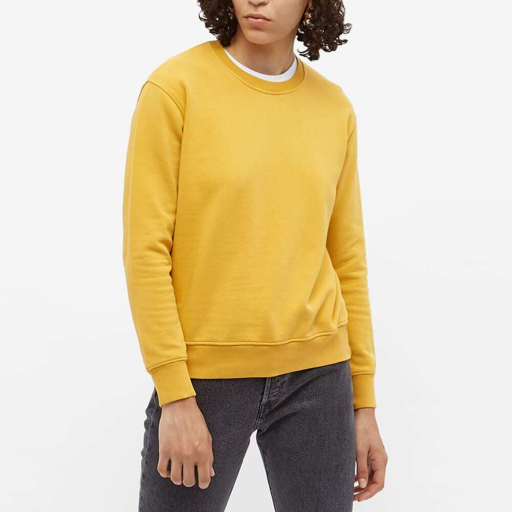 Colorful Standard Women's Classic Organic Crew in Burned Yellow ...