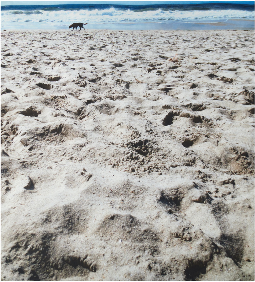 Bless Blue Nº51 Seaside Bedding Set, Queen Bless