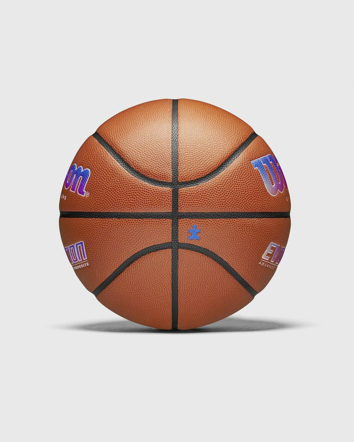 Wilson Evo Editions 2024 Autism Speaks Basketball Size 7 Brown - Mens ...