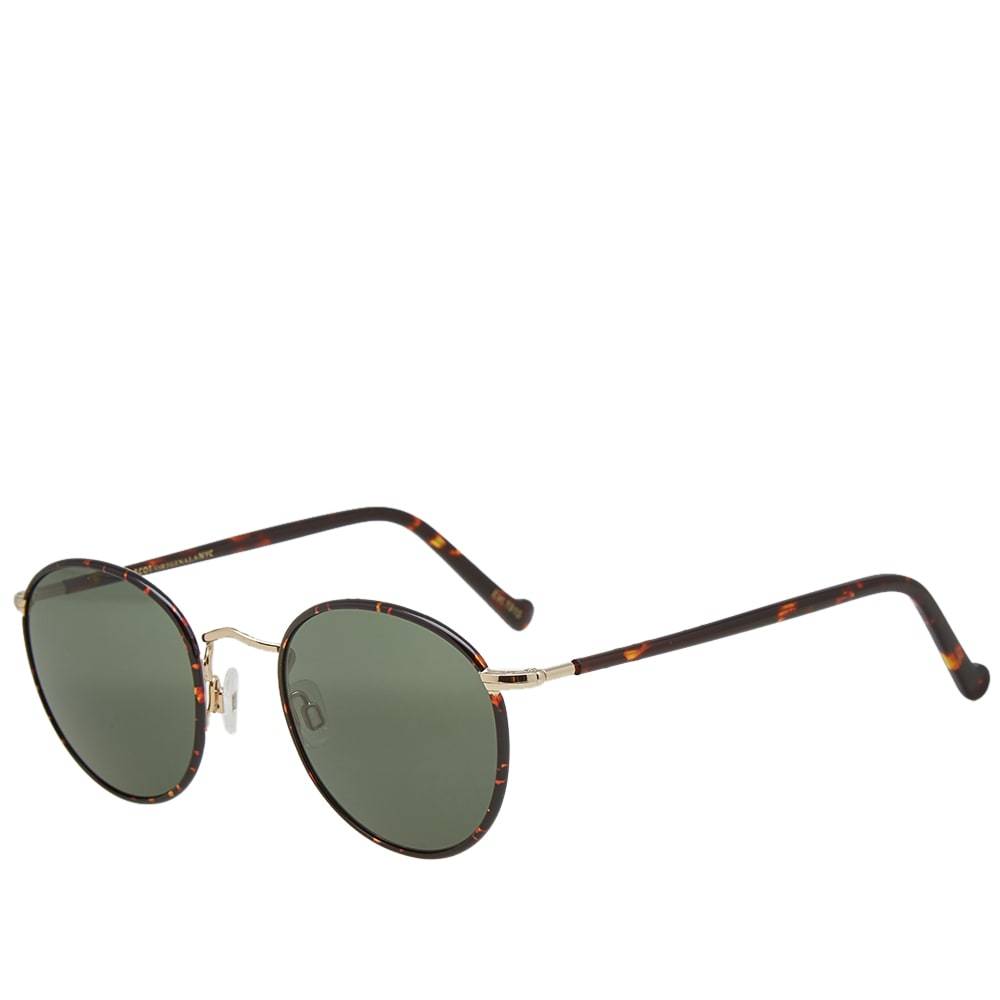 Moscot Zev Sunglasses Moscot