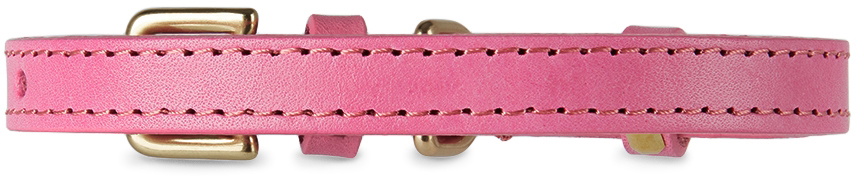 LISH Pink Small Coopers Collar