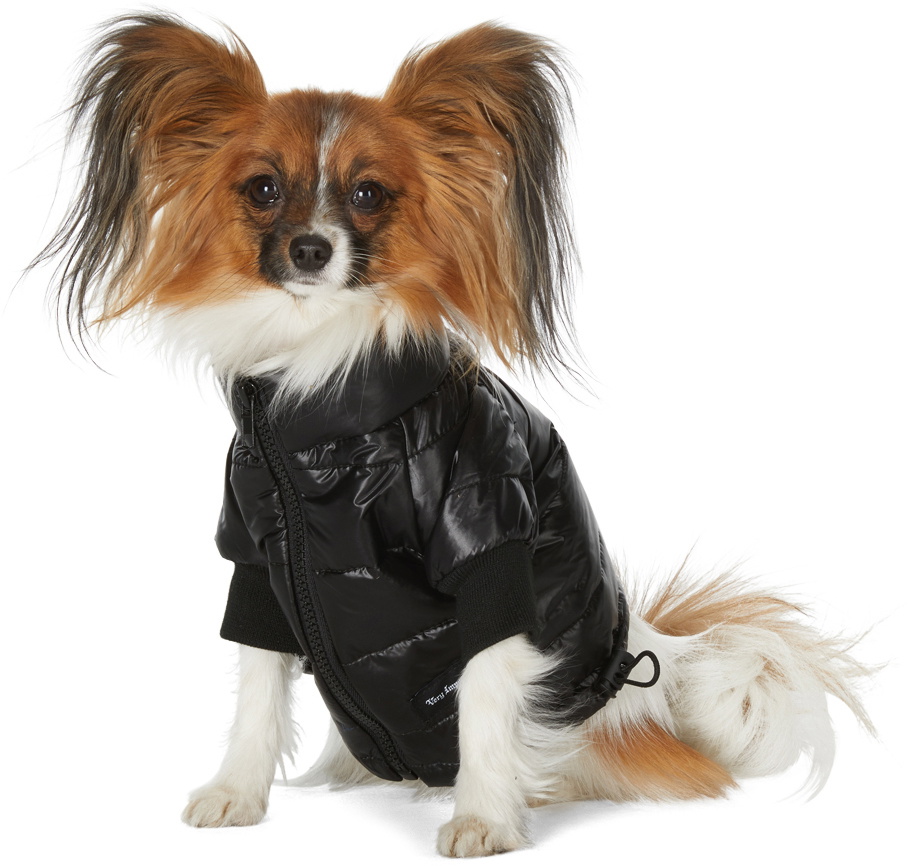 VIP SSENSE Exclusive Black Puffer Jacket