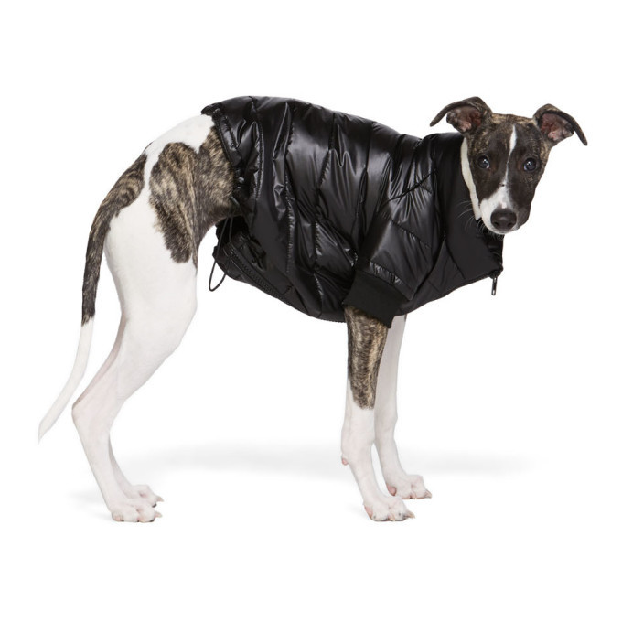 VIP SSENSE Exclusive Black Puffer Jacket