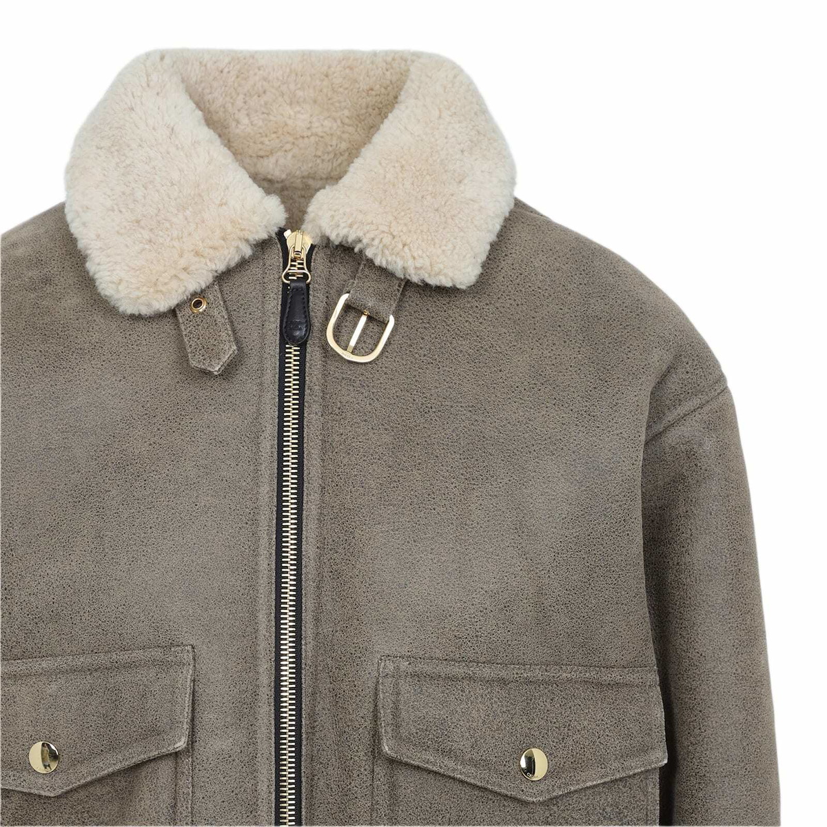Celine Aviateur Brode Blouson Celine