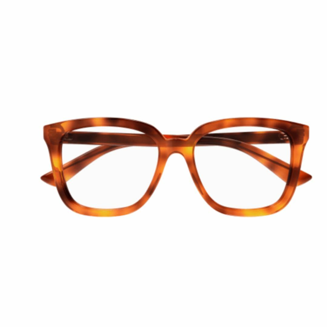 Gucci Eyewear Gg1319o002 Havana Havana Transpa Gucci