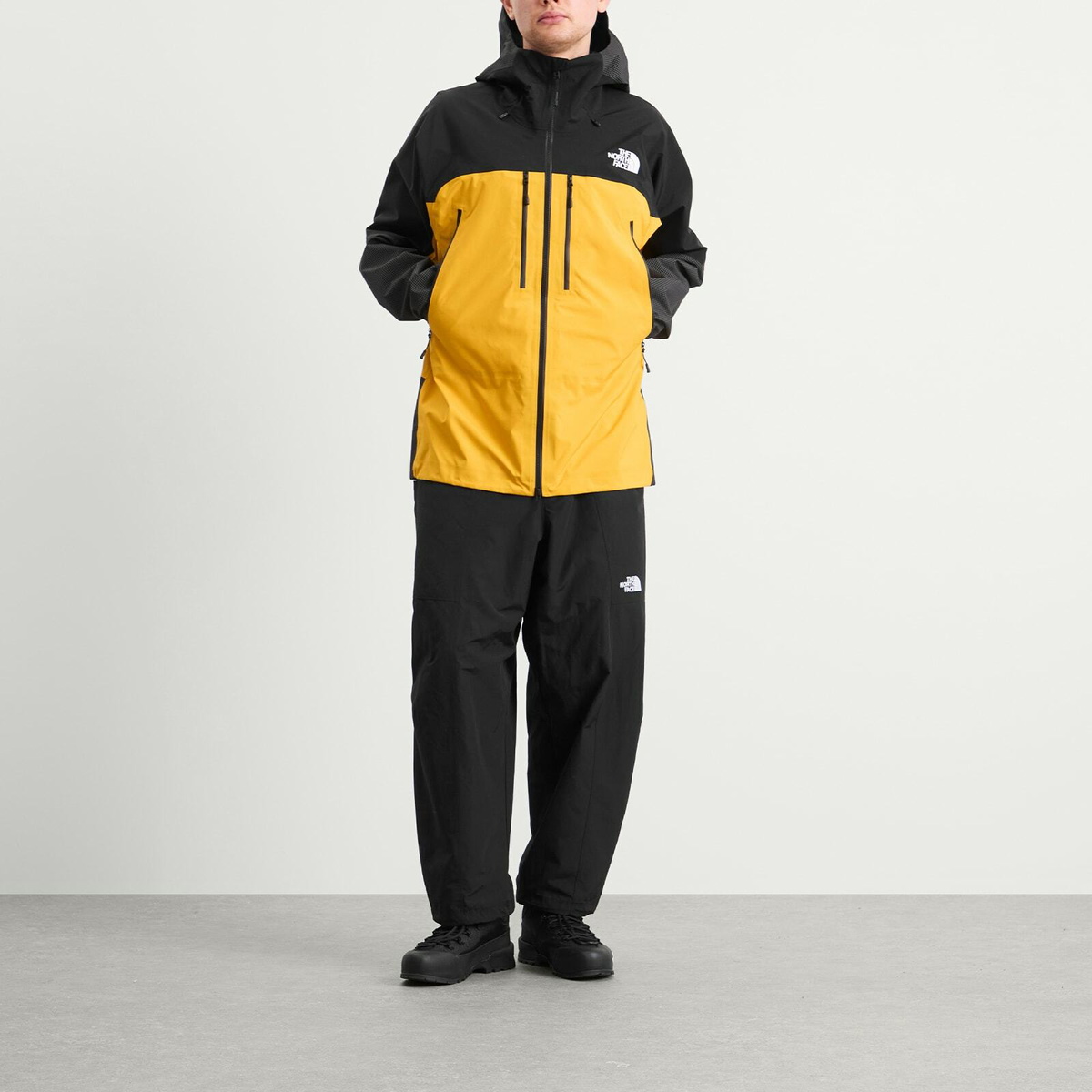 The North Face Men's Summit Series Mountain Gore-Tex Pro Jacket in ...
