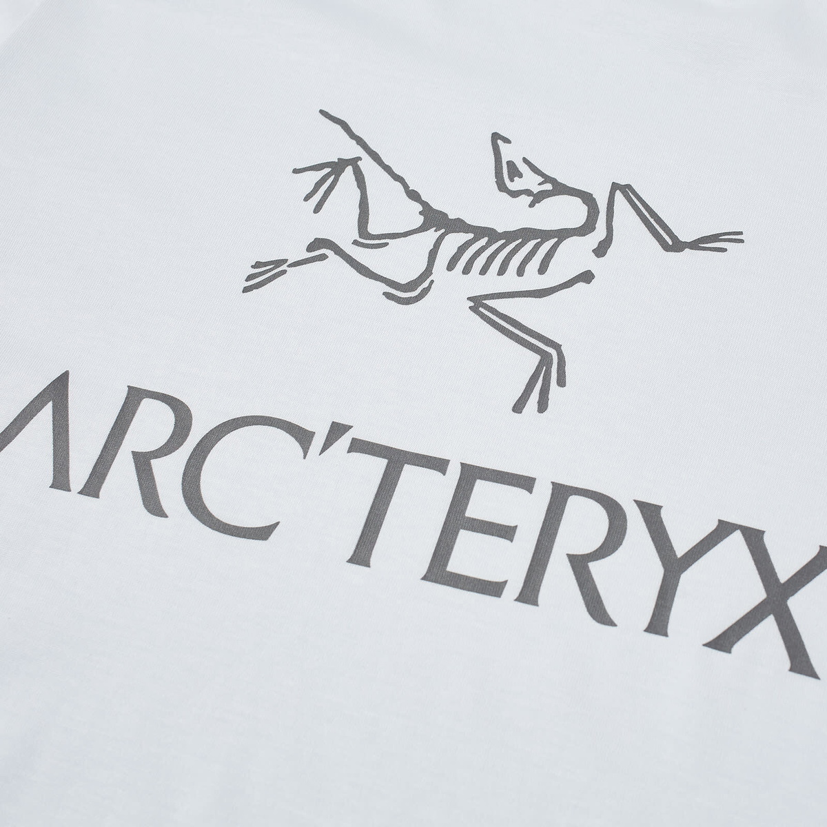 Arc'teryx Men's Arc'Word Logo T-Shirt in Daybreak Arc'teryx