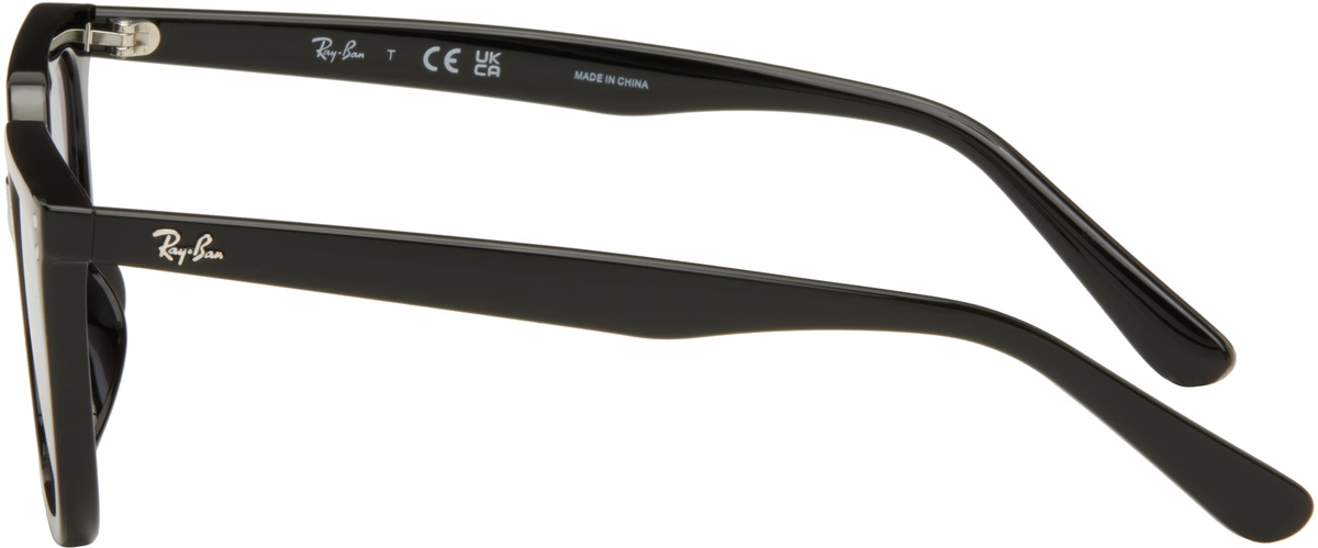Ray-Ban Black RB4439D Sunglasses Ray Ban