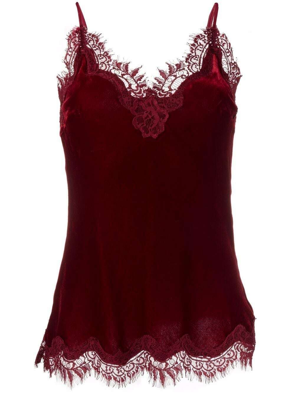 GOLDHAWK - Velvet Top Goldhawk