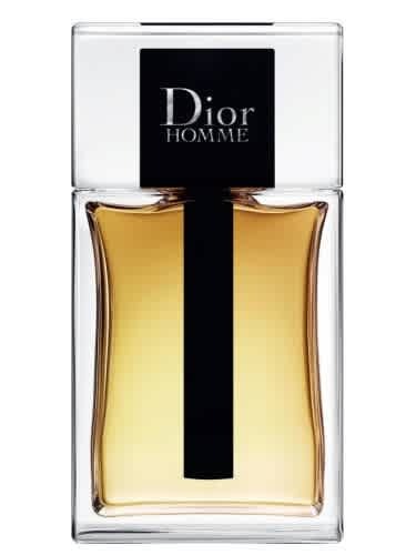 Dior Mens Dior Homme EDT Spray 3.4 oz Fragrances 3348901419147 Dior