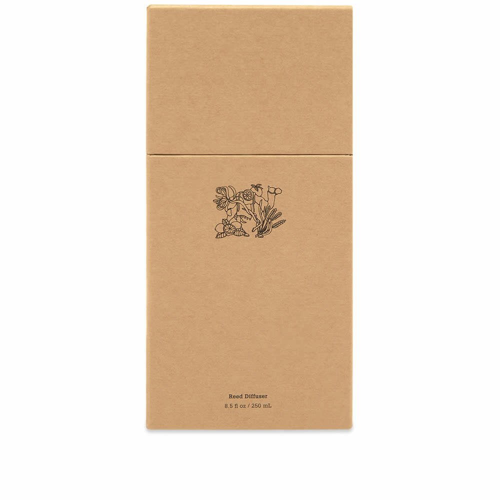 Apotheke Fragrance Reed Diffuser in White Vetiver Apotheke Fragrance