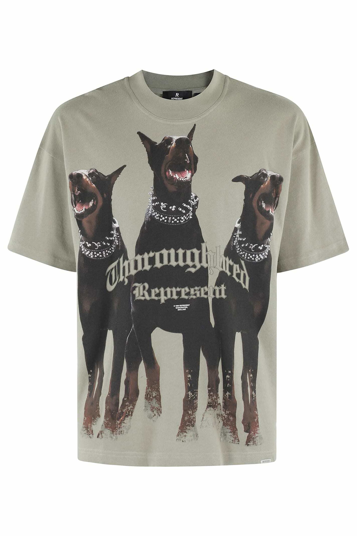 REPRESENT Thoroughbred Tshirt Represent