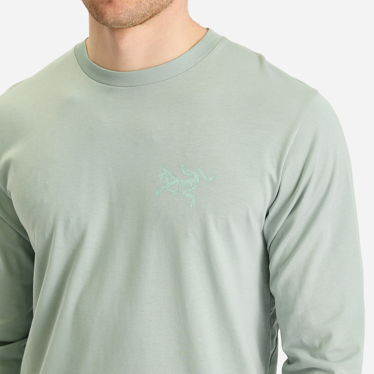 Arc'teryx Men's Kragg SL Cotton Bird Tile Long Sleeve T-Shirt in Stone ...
