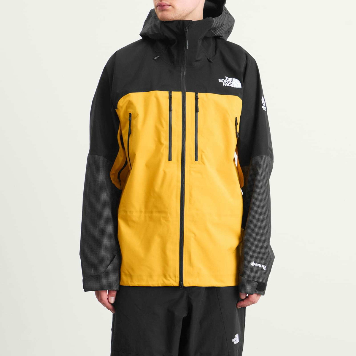 The North Face Men's Summit Series Mountain Gore-Tex Pro Jacket in ...