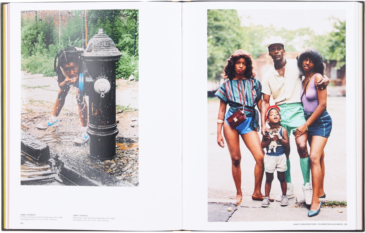 Phaidon Giants: Art from the Dean Collection of Swizz Beatz and Alicia ...