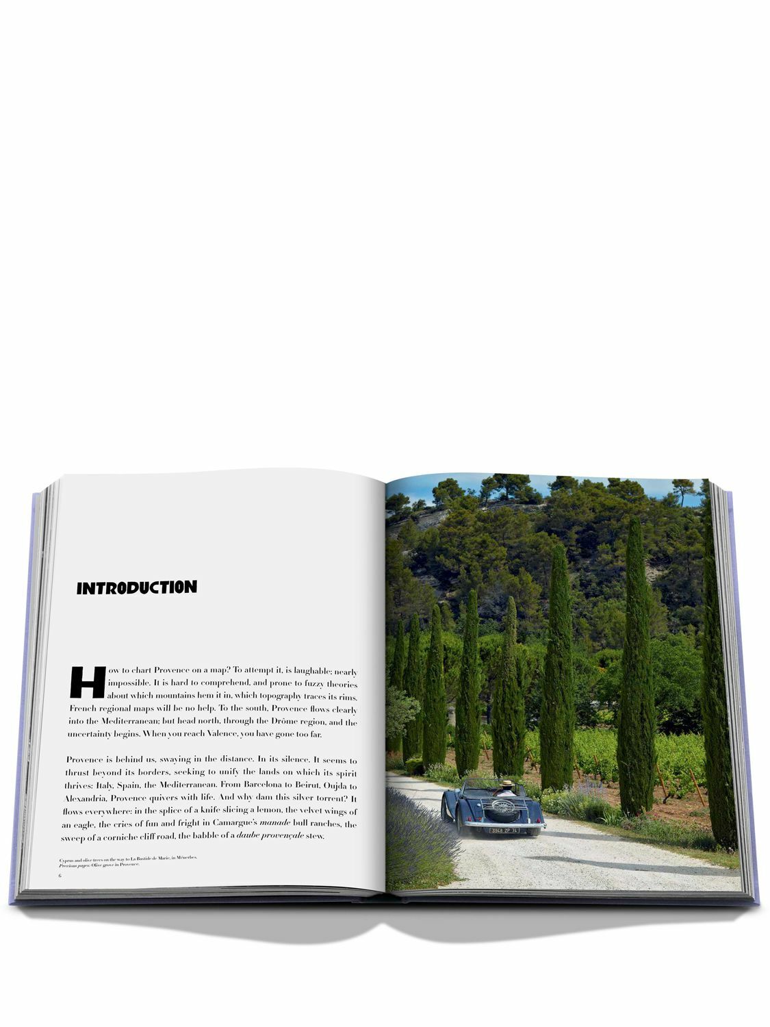 ASSOULINE - Provence Glory Assouline