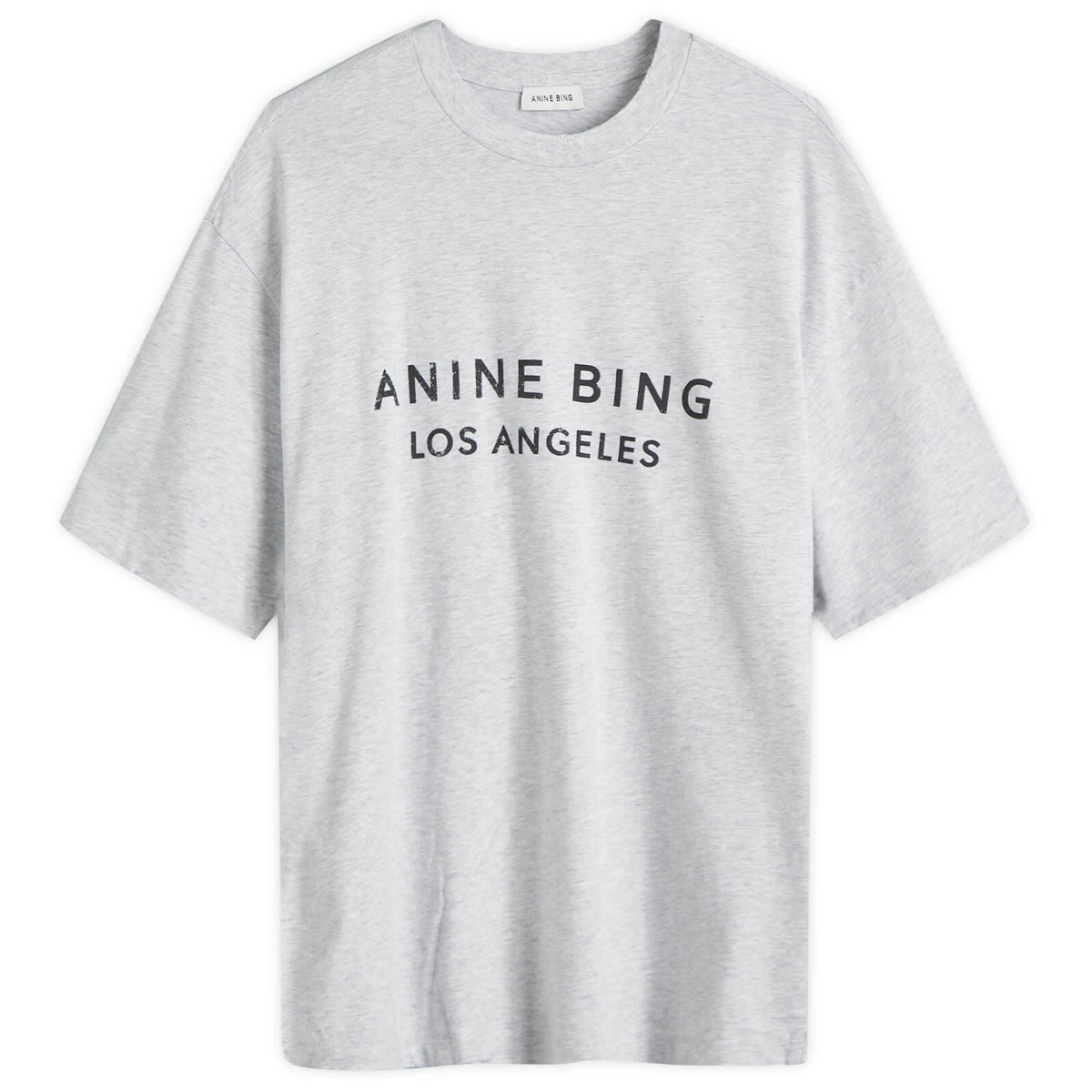 Anine Bing Women's Myers T-shirt in Grey ANINE BING