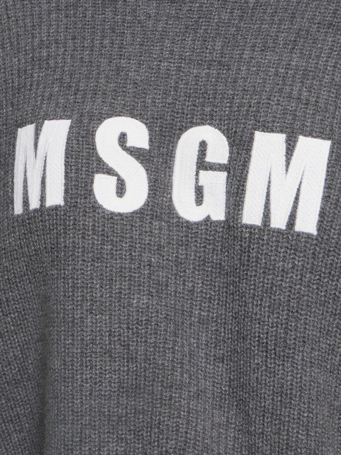 MSGM Wool Blend Knit Logo Hoodie MSGM