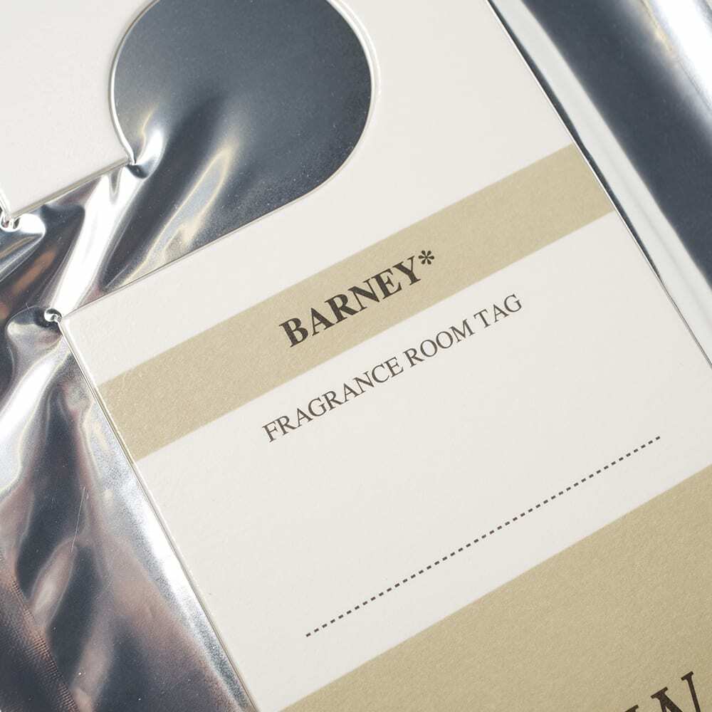 retaW Fragrance Room Tag in Barney* retaW