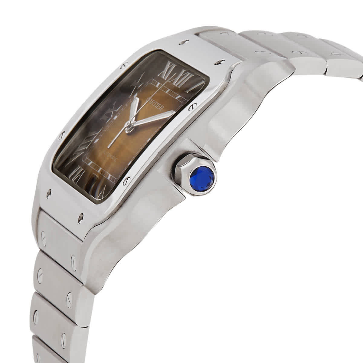 Cartier Santos Large Model Automatic Brown Dial Watch WSSA0064 Cartier