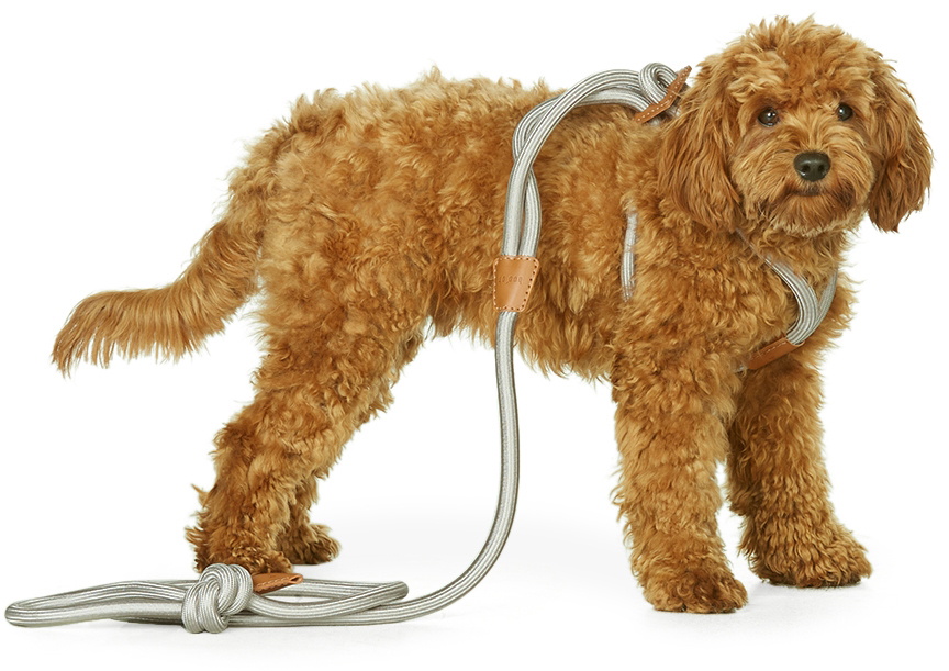 Boo Oh Grey Medium Ray Harness Boo Oh