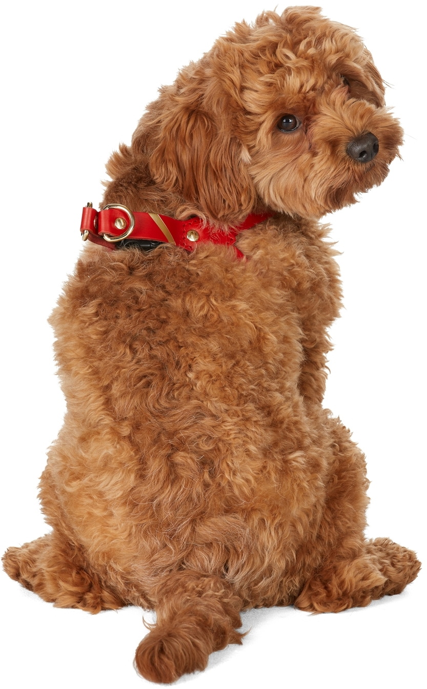 Fantastical Creatures Club Red One Click Harness