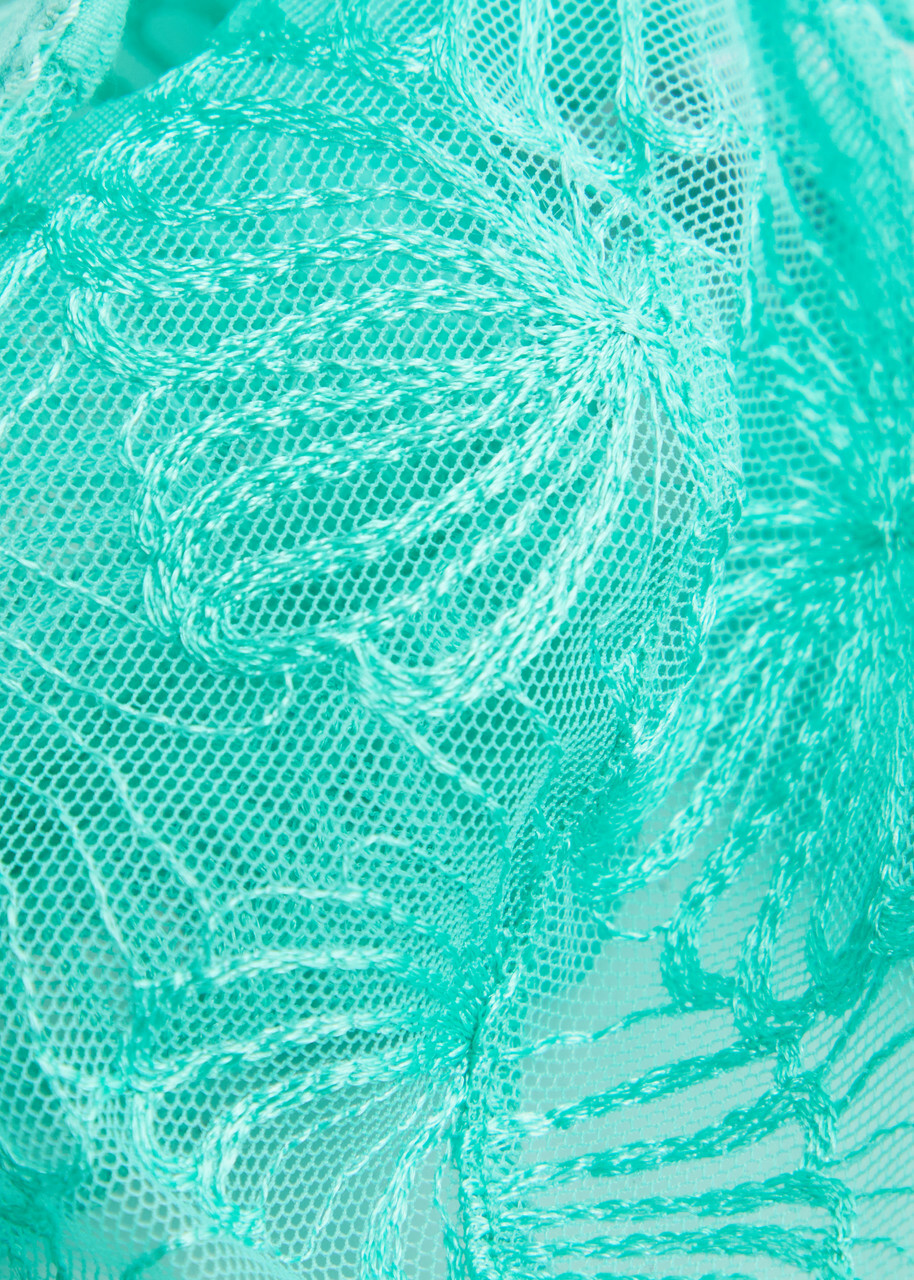 Wacoal Cateline Lace Plunge bra Turquoise Wacoal