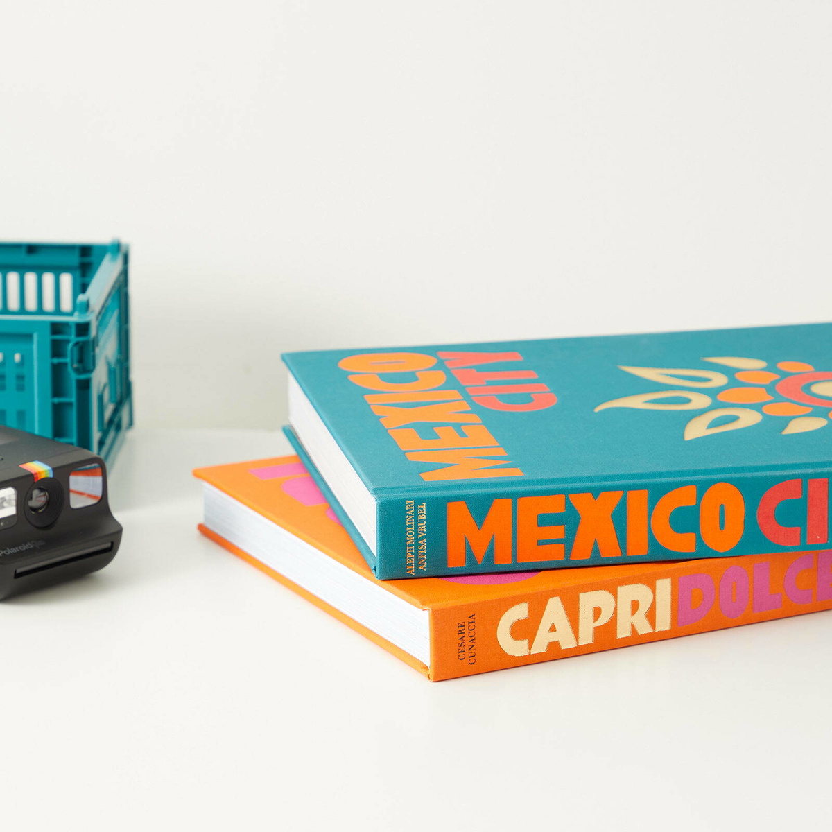 Assouline Mexico City in Aleph Molinari/Anfisa Vrubel Assouline