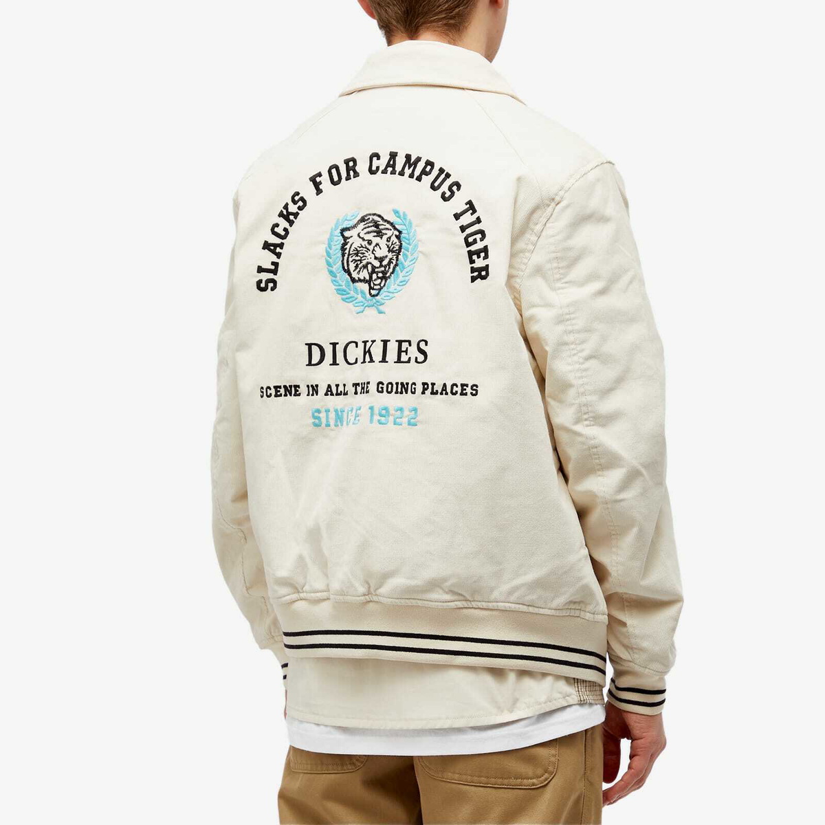 Dickies Men's Westmoreland Varsity Jacket in Whitecap Grey Dickies ...