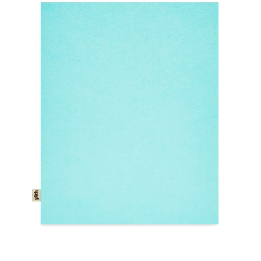 Pith Pomelo Plain Notebook - Large in Azur Pith