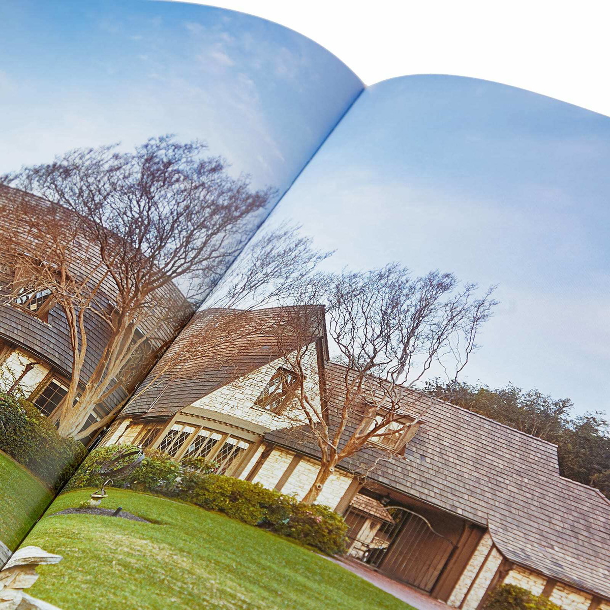 Rizzoli Paul R. Williams: Classic Hollywood Style in Karen E. Hudson ...