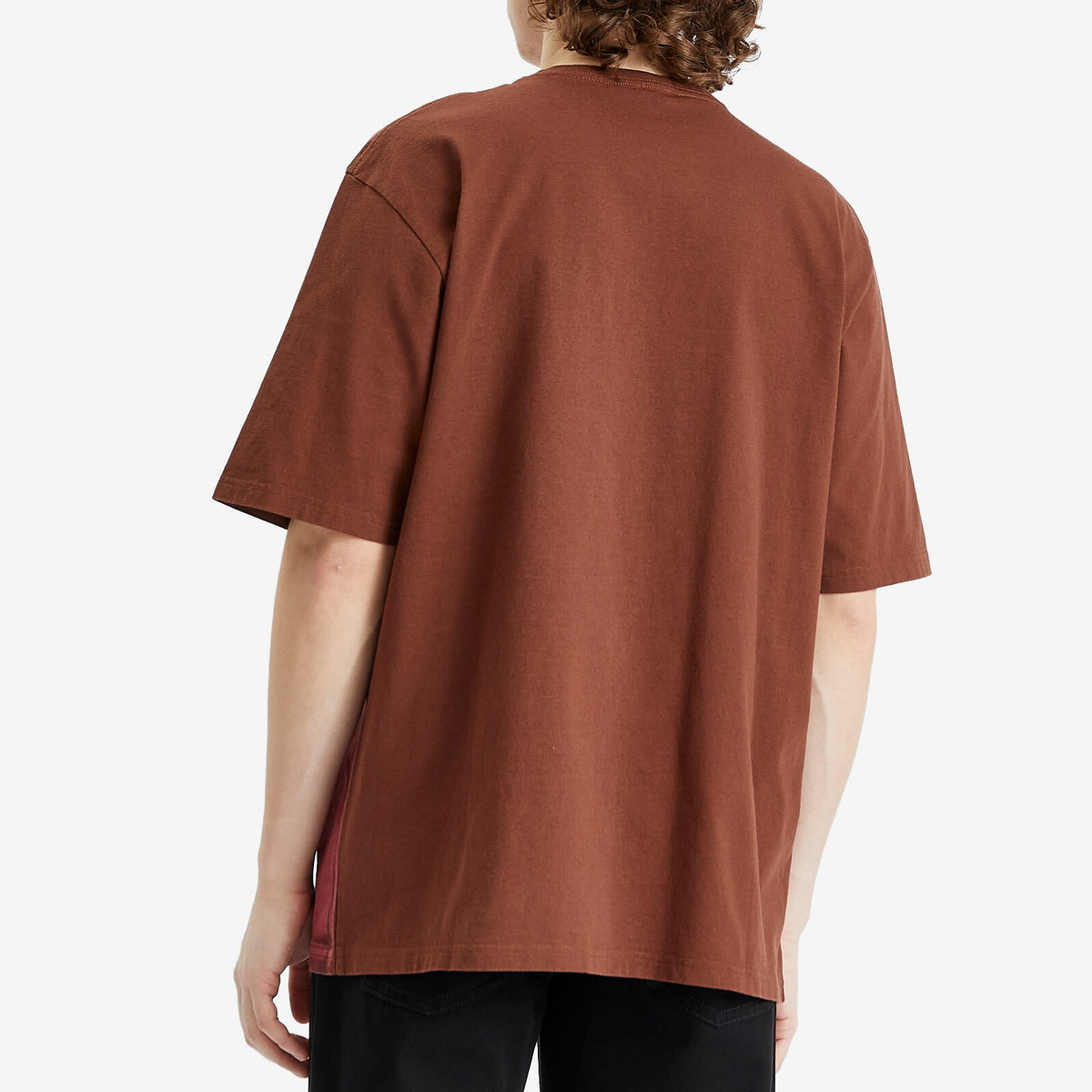 Alexander McQueen Men's Fade Effect T-Shirt in Rust/Bordeaux Alexander ...